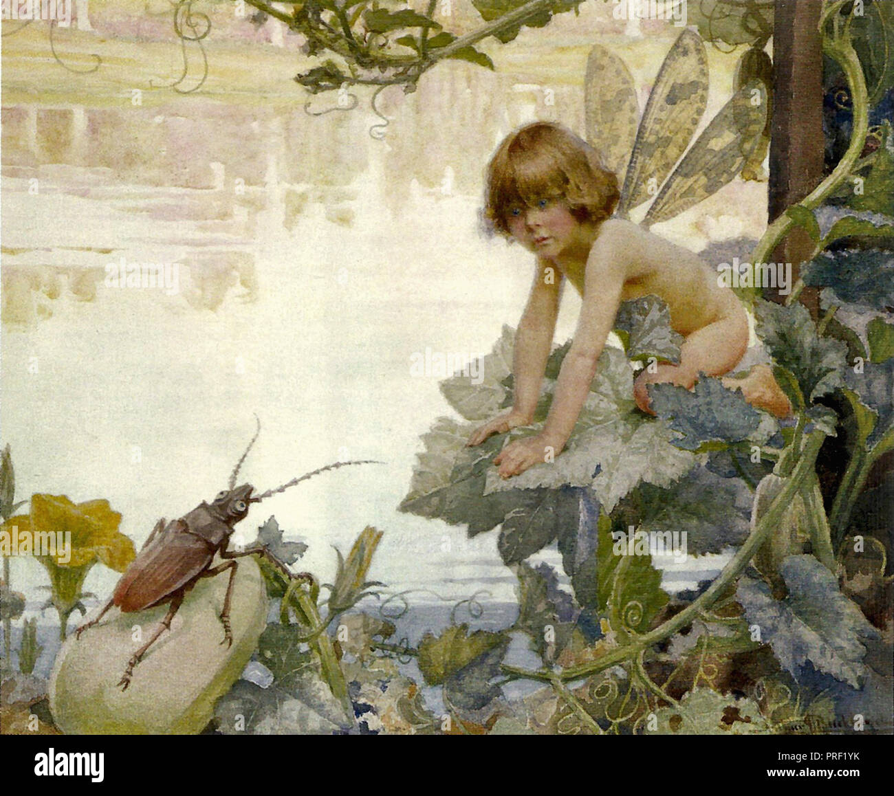 Herbert buckland hi-res stock photography and images - Alamy