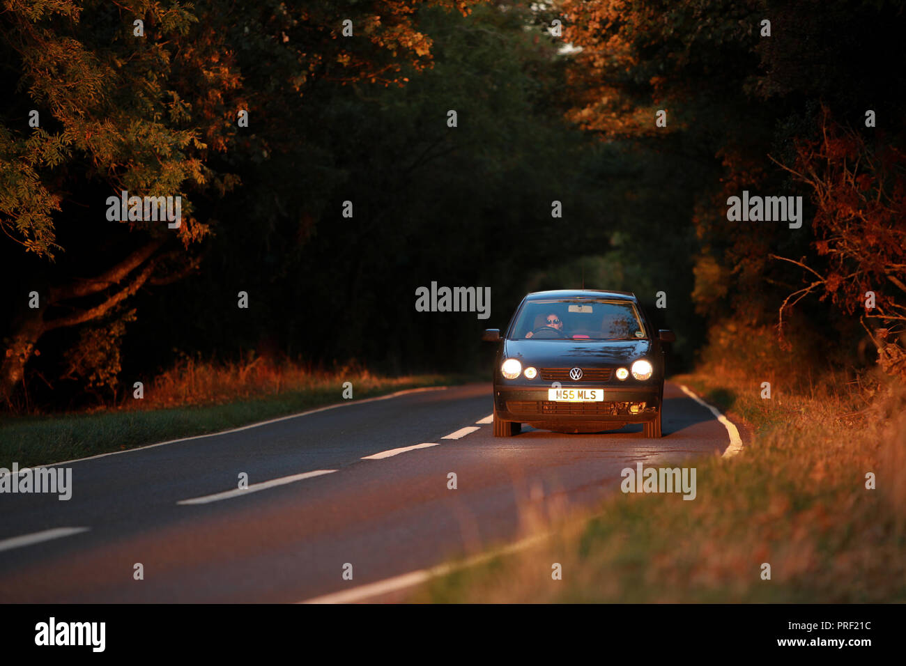 Extra Low Cars Photos