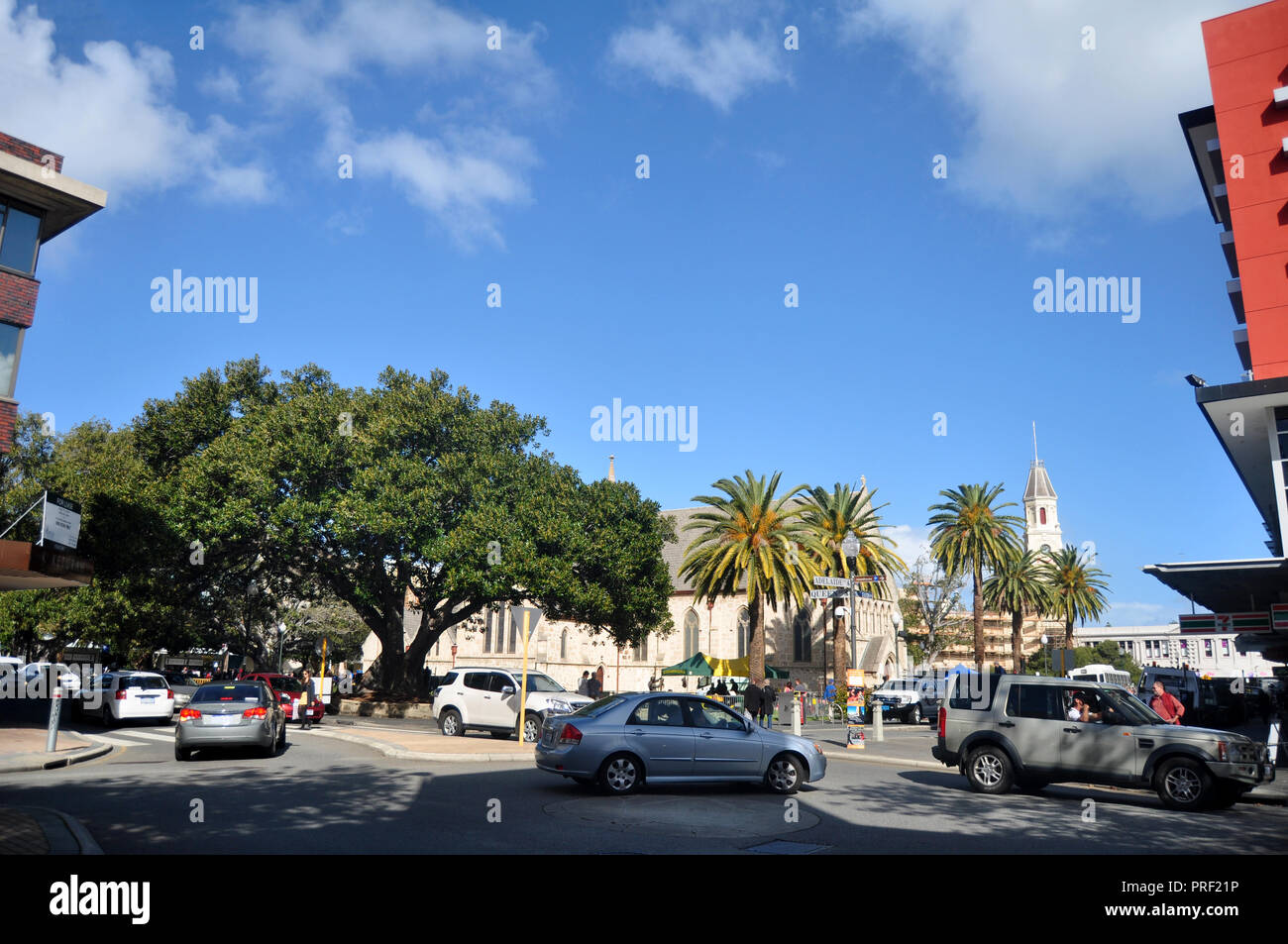 Australian people walking and maple tree on pavement beside road with ...