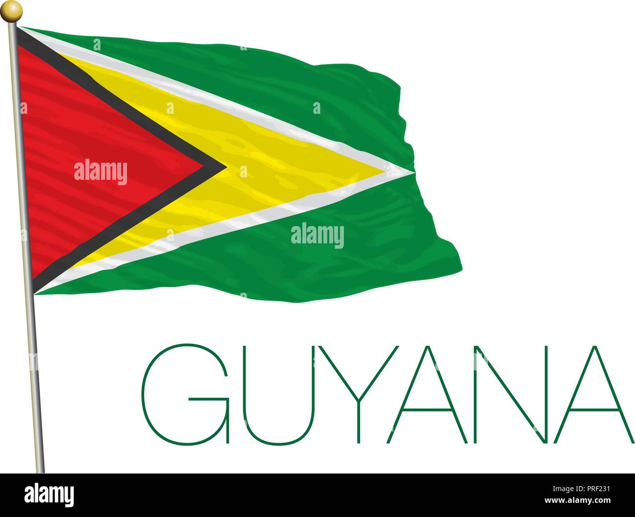 Guyana official flag, vector illustration Stock Vector Image & Art - Alamy