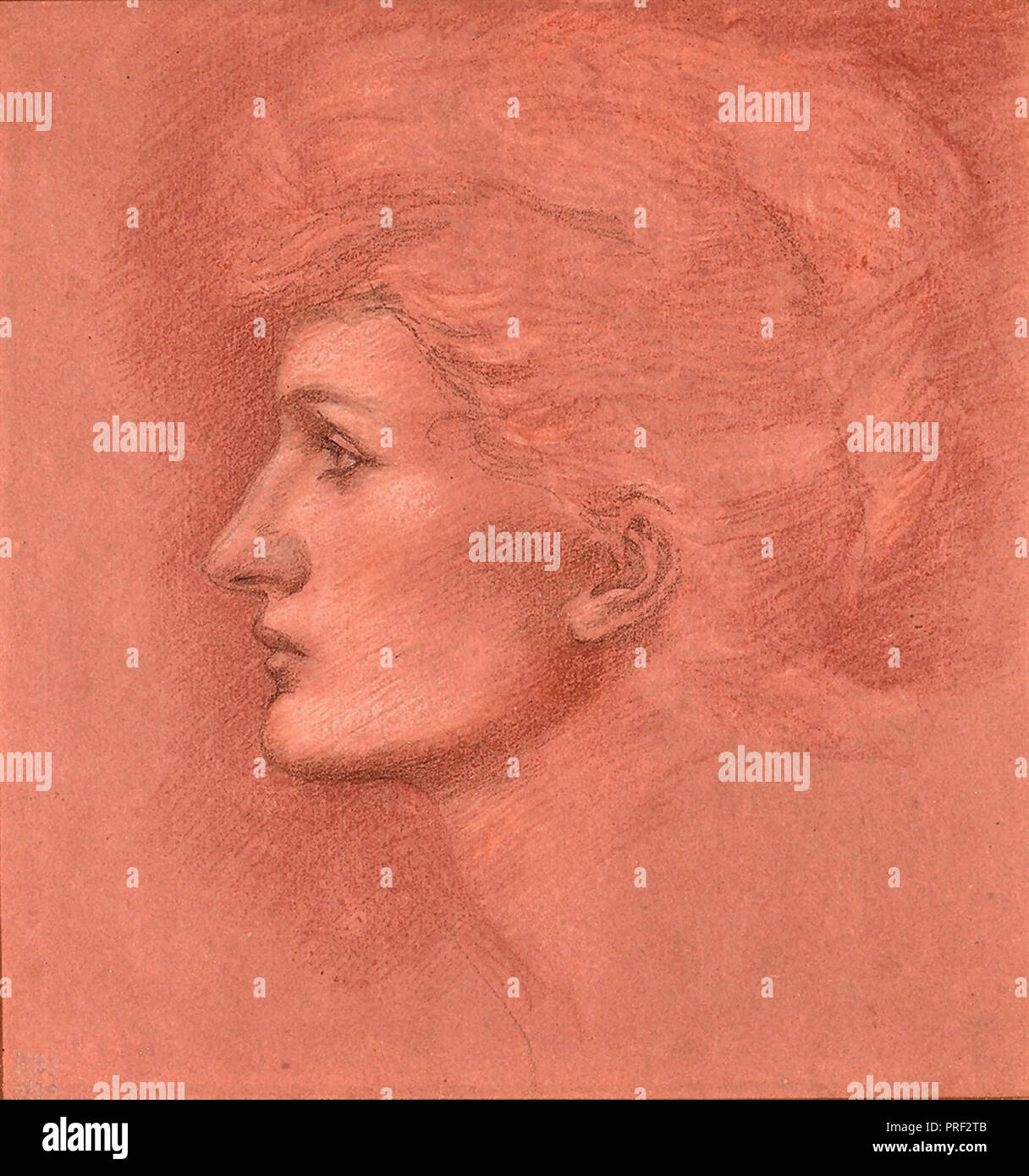 Burne-Jones Edward Coley - Portrait Head of Kate Dolan Stock Photo - Alamy