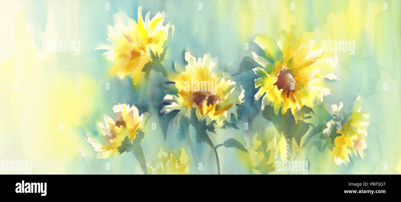 Sunny sunflowers on the yellow and green background watercolor Stock ...