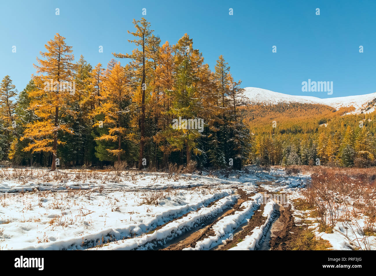 The landscape of Altai mountains, in autumn, Siberia, Altai mountain ...
