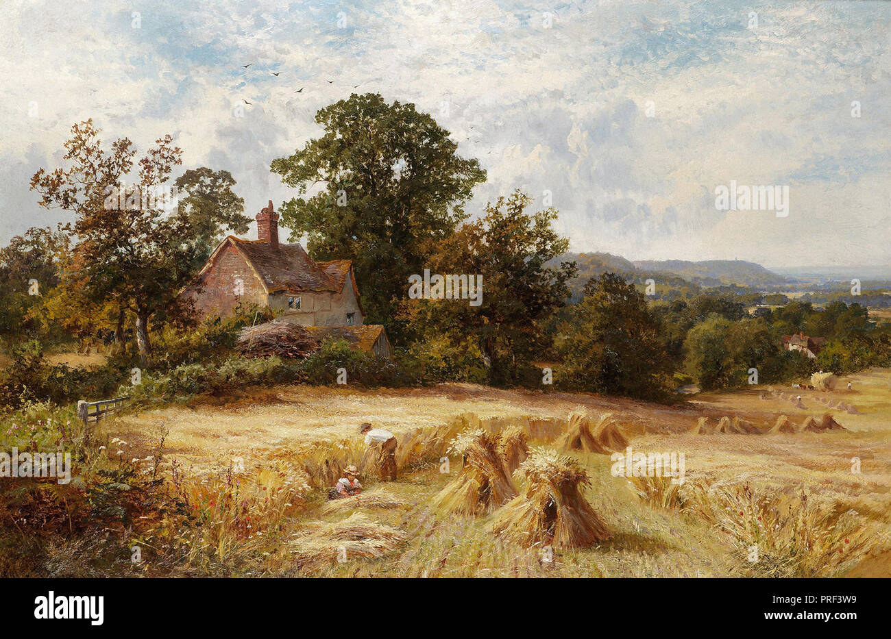Caffyn Walter Wallor - Harvest Time Ewhurst Surrey Looking Towards ...