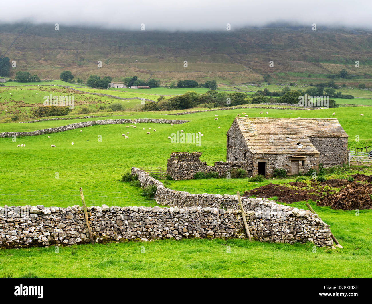Ribblehead yorkshire dales england hi-res stock photography and images ...