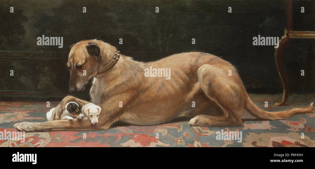 William frank hi-res stock photography and images - Alamy