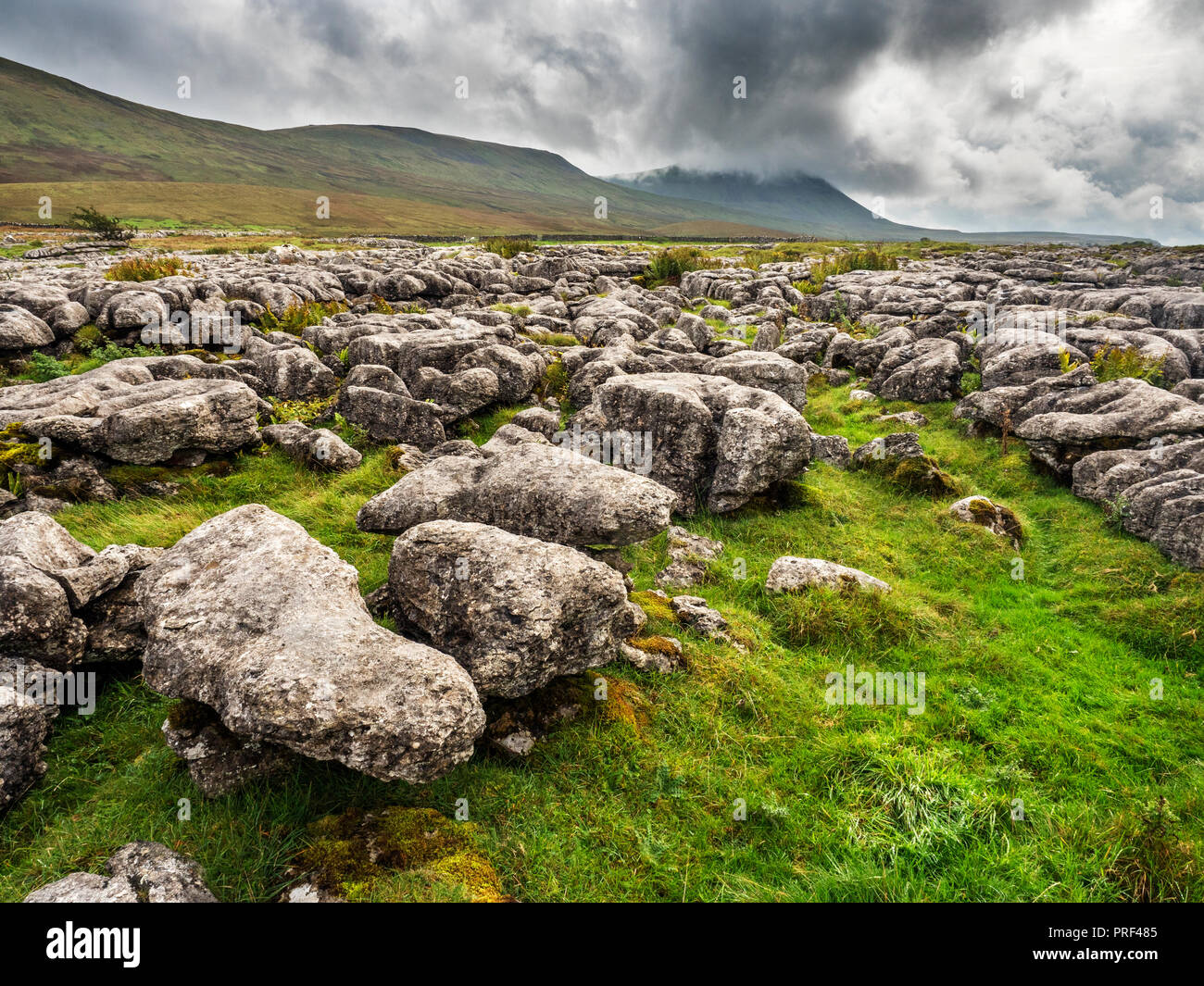 Ribblehead yorkshire dales england hi-res stock photography and images ...
