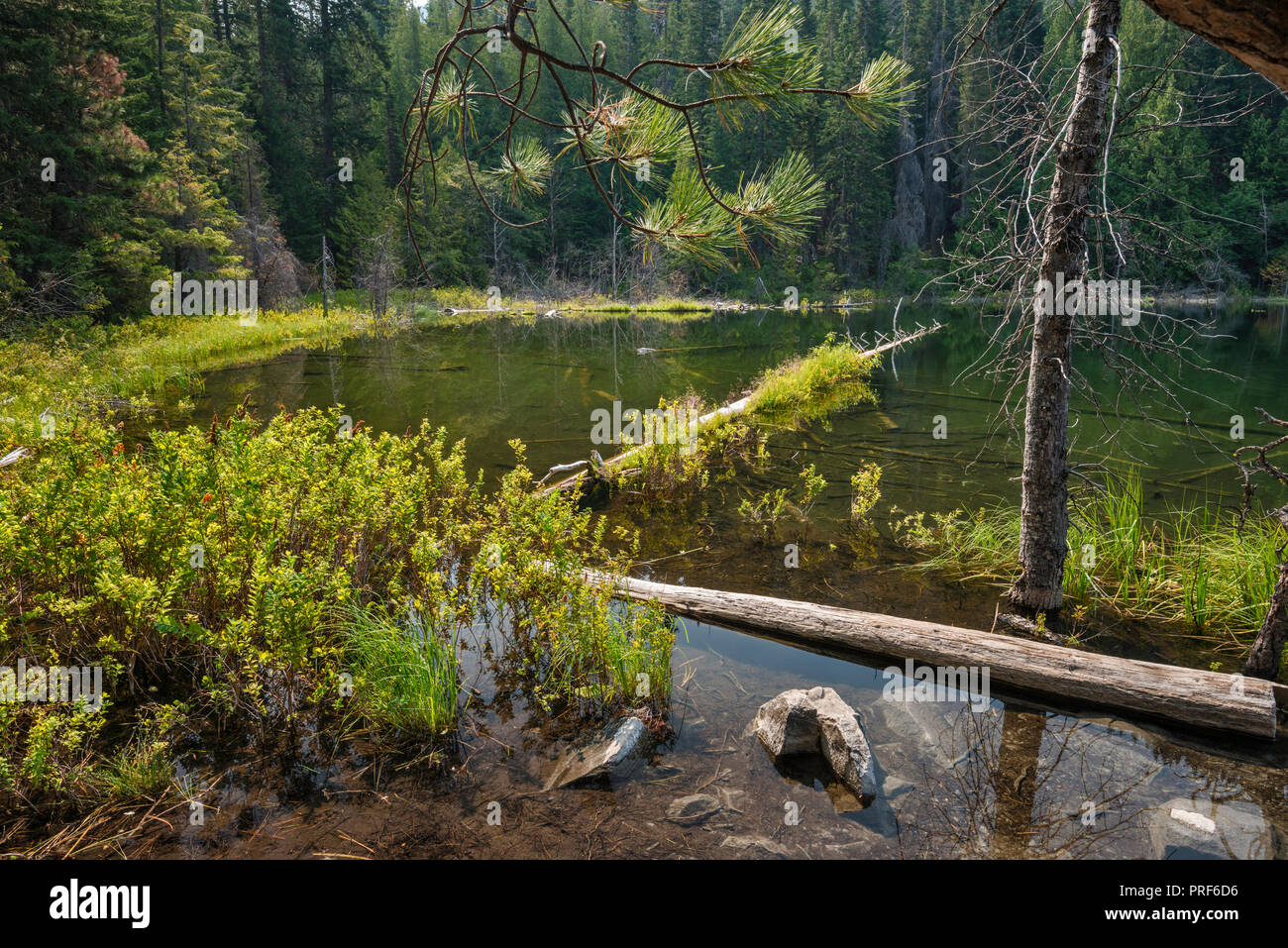Hidden Lake, near Lake Wenatchee, Wenatchee National Forest, Central ...