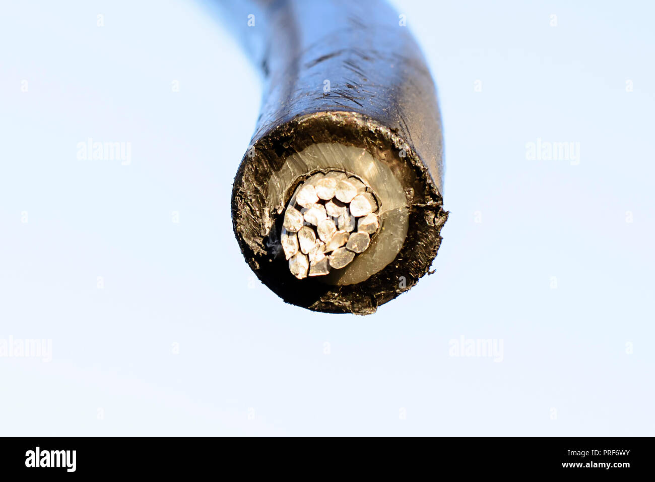 The big black cable on white background Stock Photo - Alamy