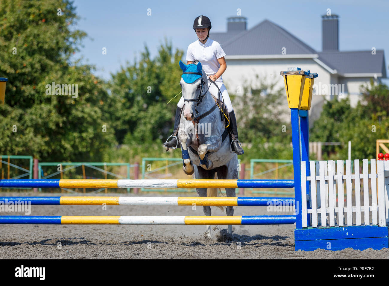 Rider jumping fence showjumping competition hi-res stock photography ...
