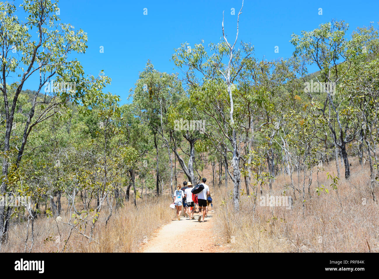 Emerald outback trail hi-res stock photography and images - Alamy