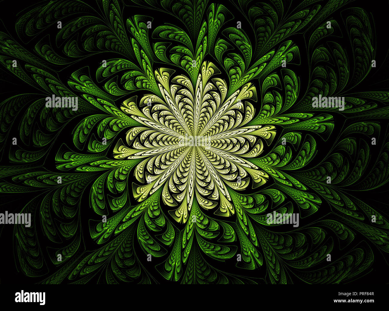 Abstract Fractal Patterns And Shapes Fractal Texture The Colors In