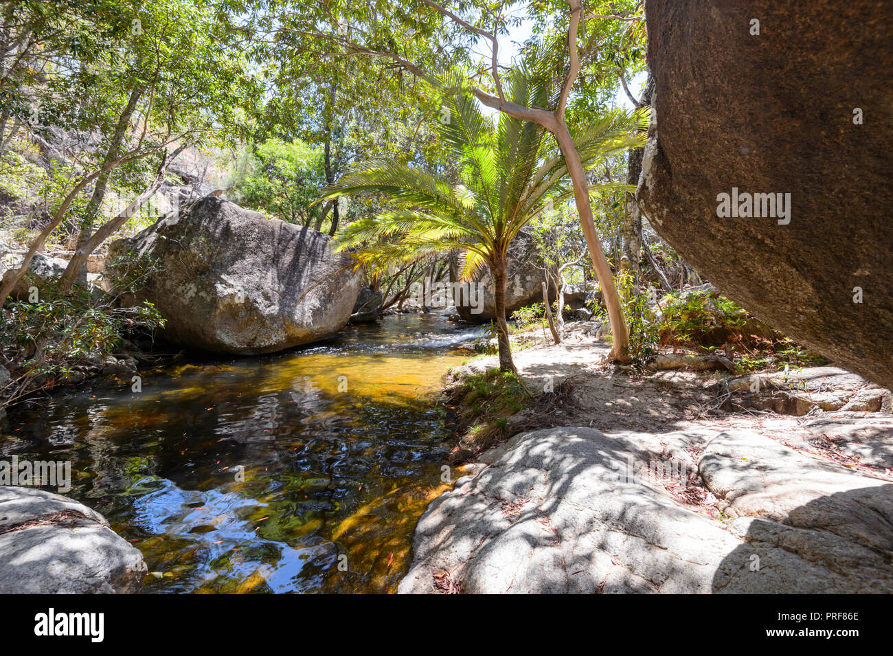 Shady creek australia hi-res stock photography and images - Alamy