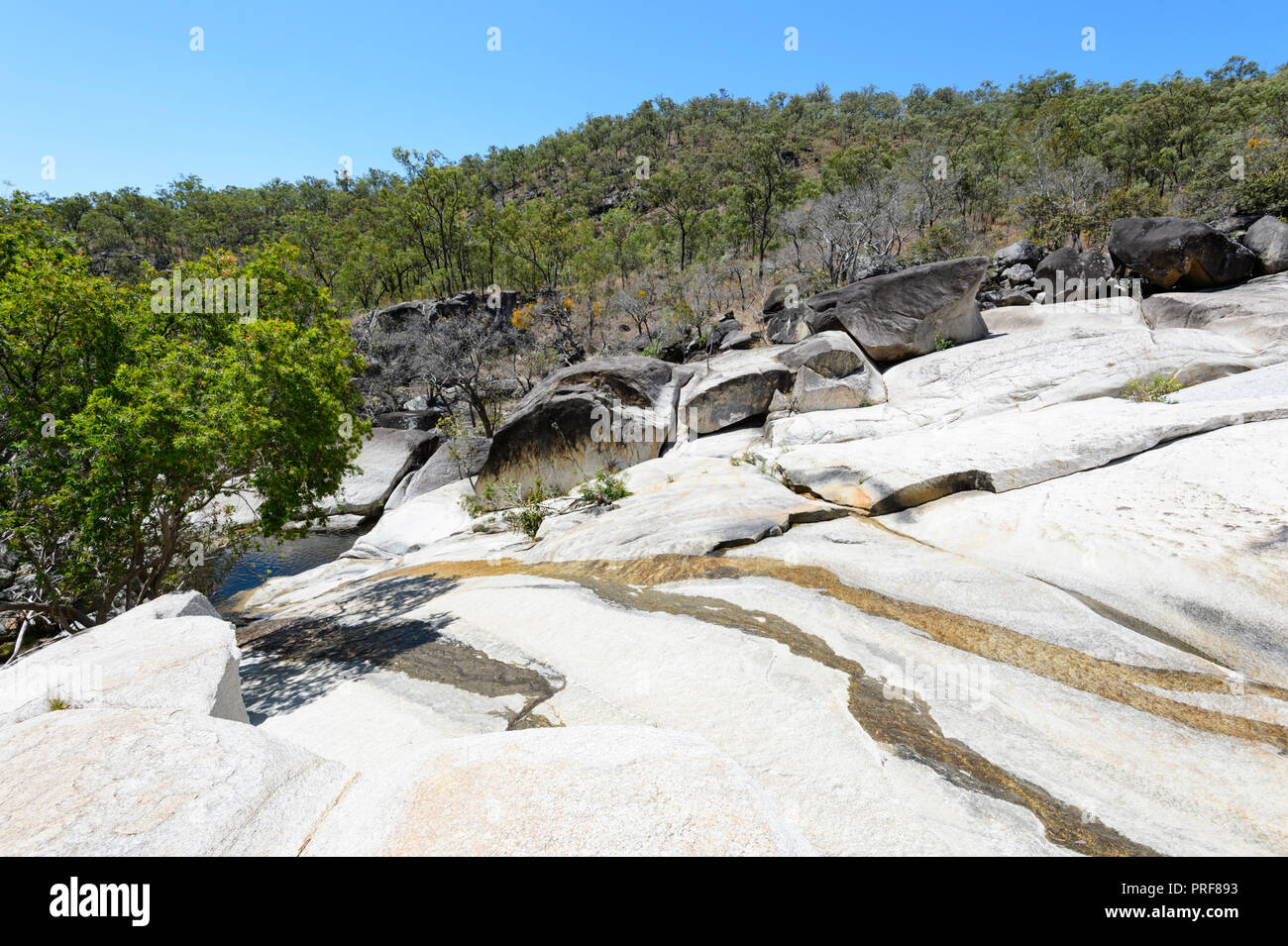 Dry granite creekbed of Emerald Creek and eucalyptus woodland, near ...