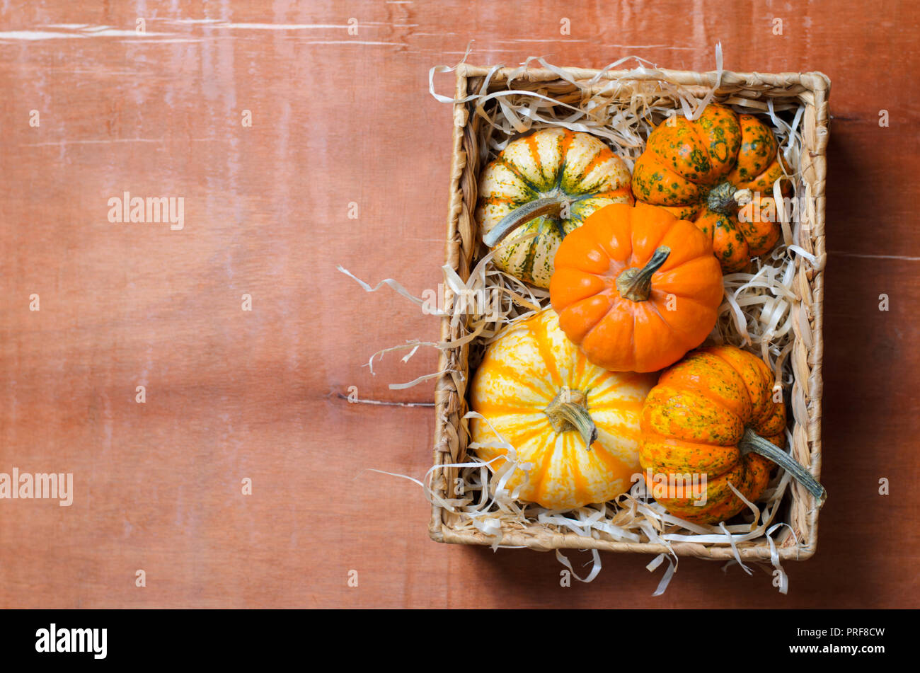 Different Colorful Pumpkins on Straw, Autumn Thanksgiving and Halloween ...