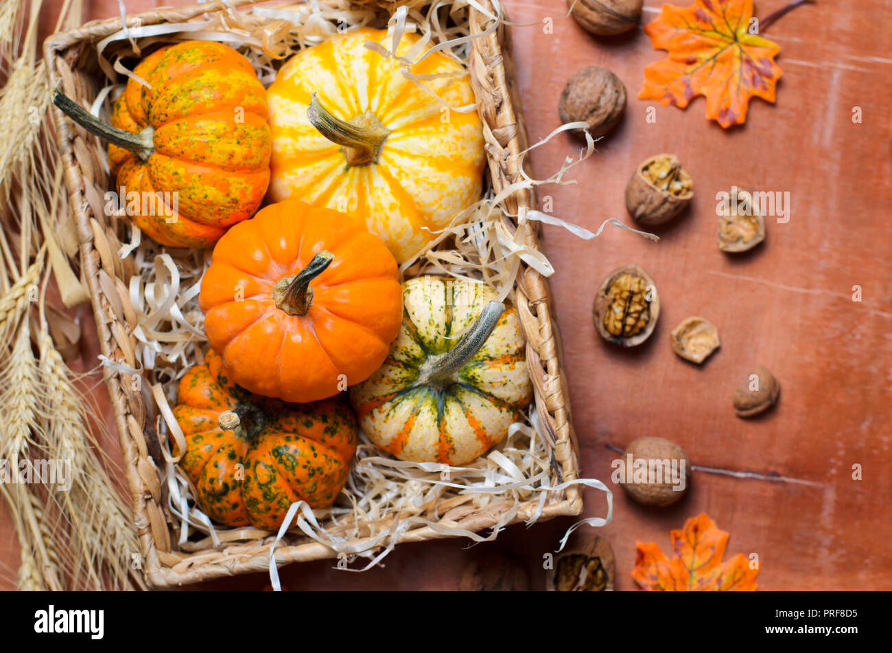 Beautiful organic assorted pumpkins hi-res stock photography and images ...