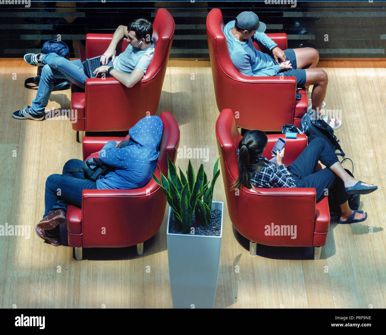 Top view of separate people, everyone does not pay attention to each ...