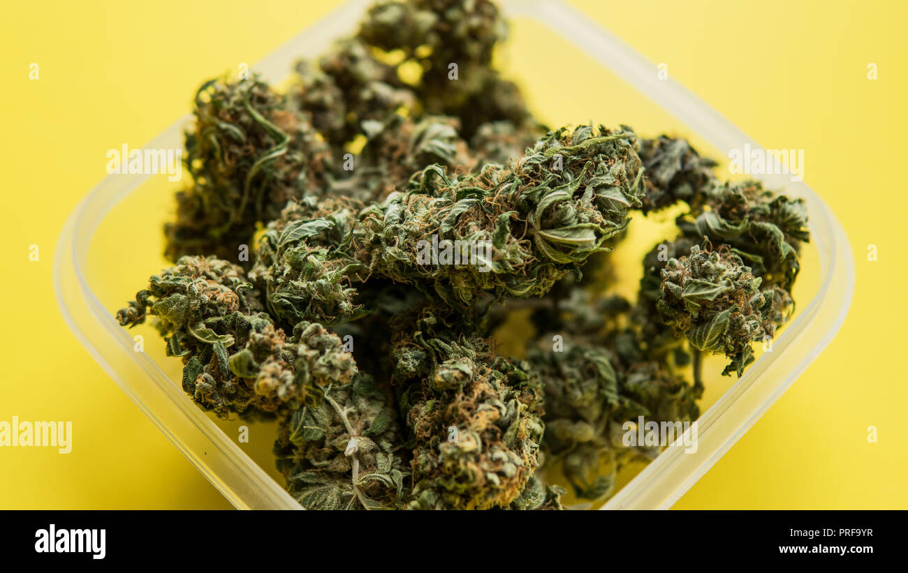 Fresh flowering cannabis buds. Female plant of marijuana Stock Photo ...