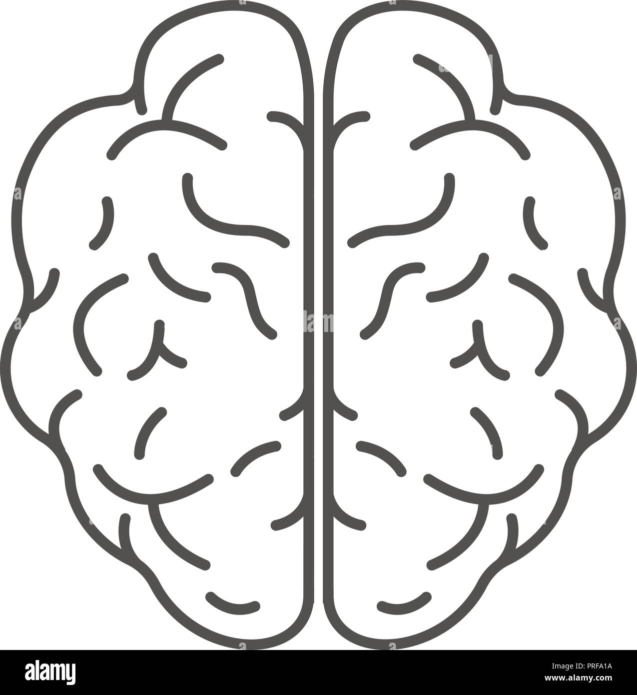 Brain Drawing Top View