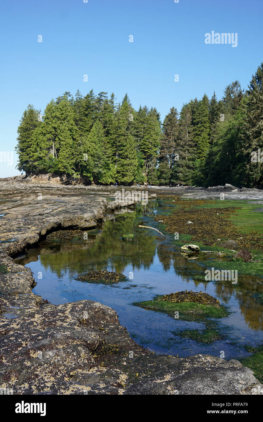 Botanical beach provincial park vancouver hi-res stock photography and ...