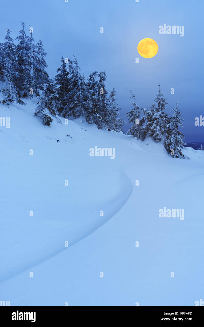 Moon pine tree forest sky hi-res stock photography and images - Alamy