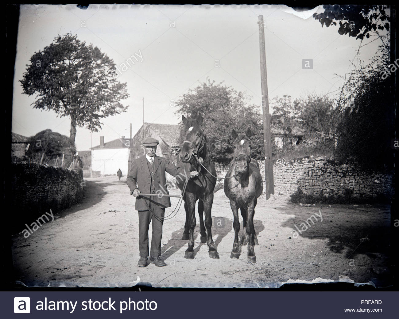 Horse Farm 1920s Stock Photos & Horse Farm 1920s Stock Images - Alamy