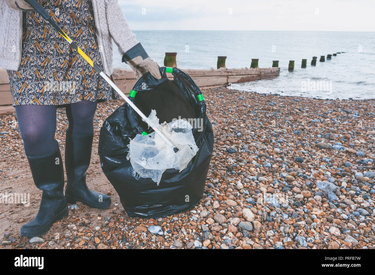 A woman using a litter picker puts plastic waste found on the beach ...
