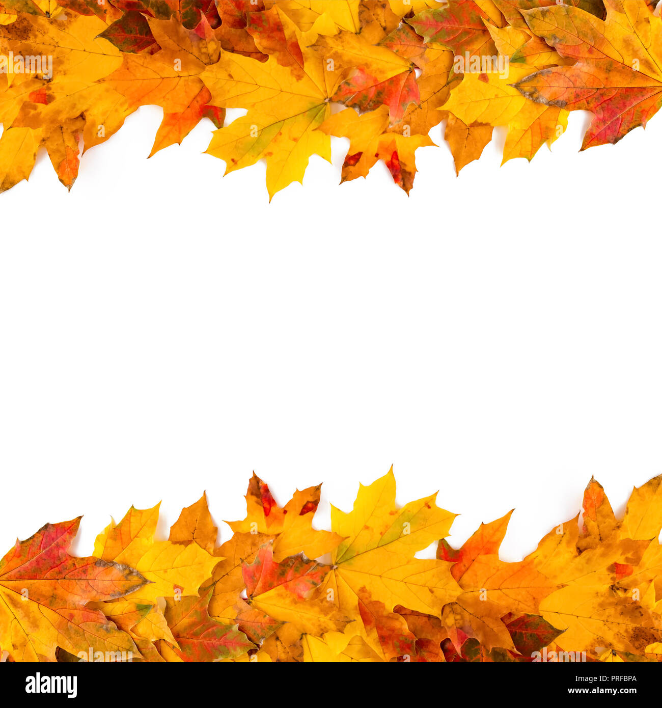 Autumn leaves frame nature background Stock Photo - Alamy