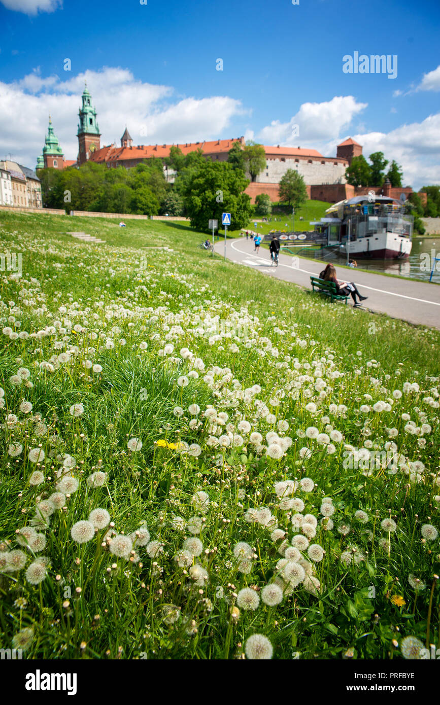 Beautiful krakow architecture hi-res stock photography and images - Alamy