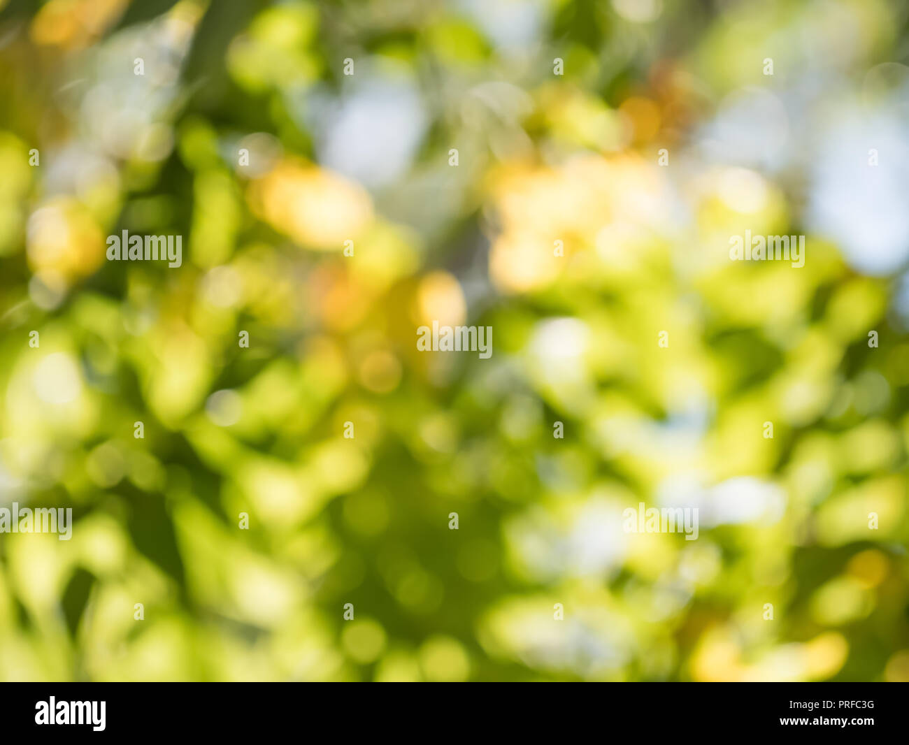 Abstract nature background Stock Photo - Alamy