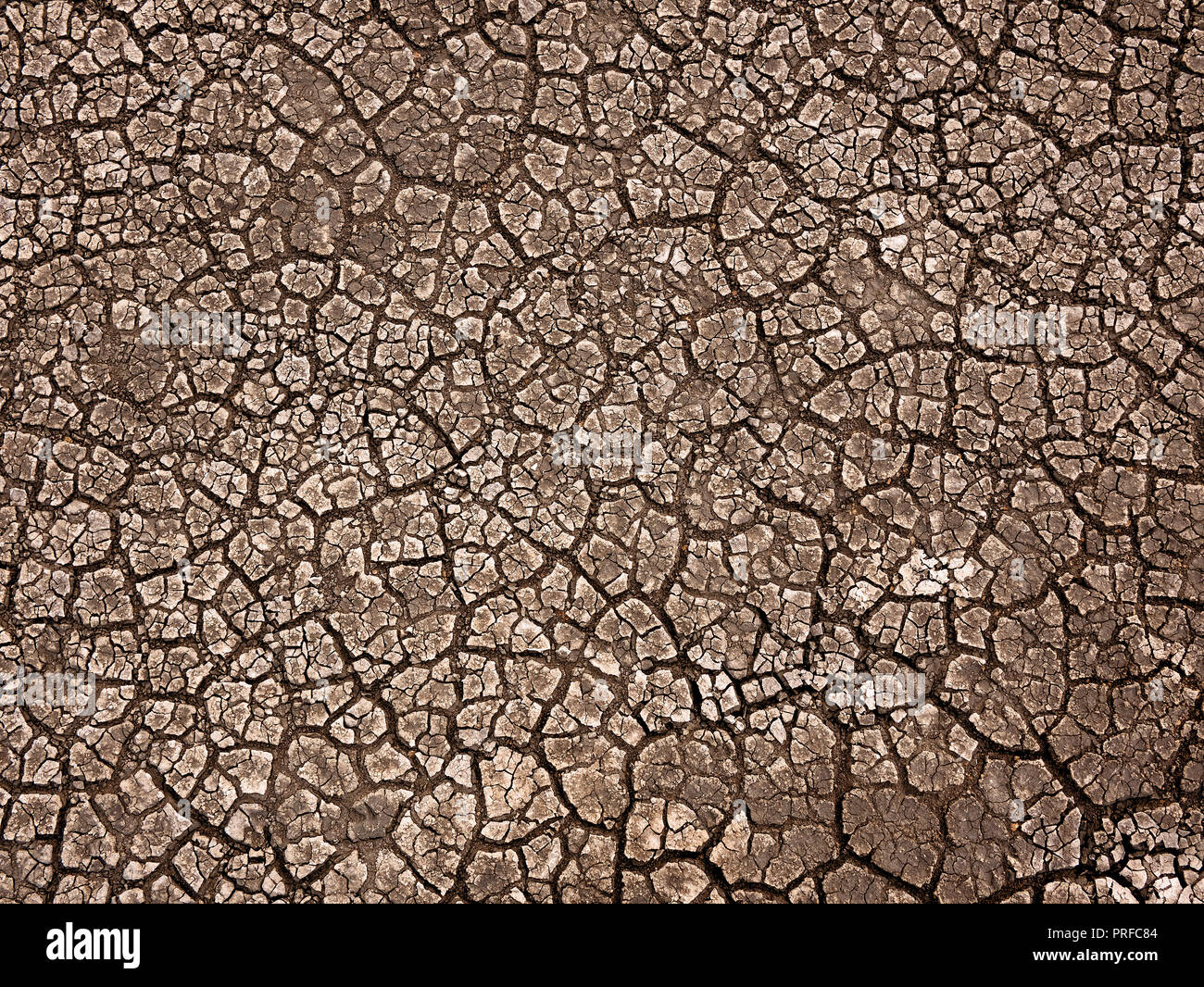 Cracked earth soil background Stock Photo - Alamy