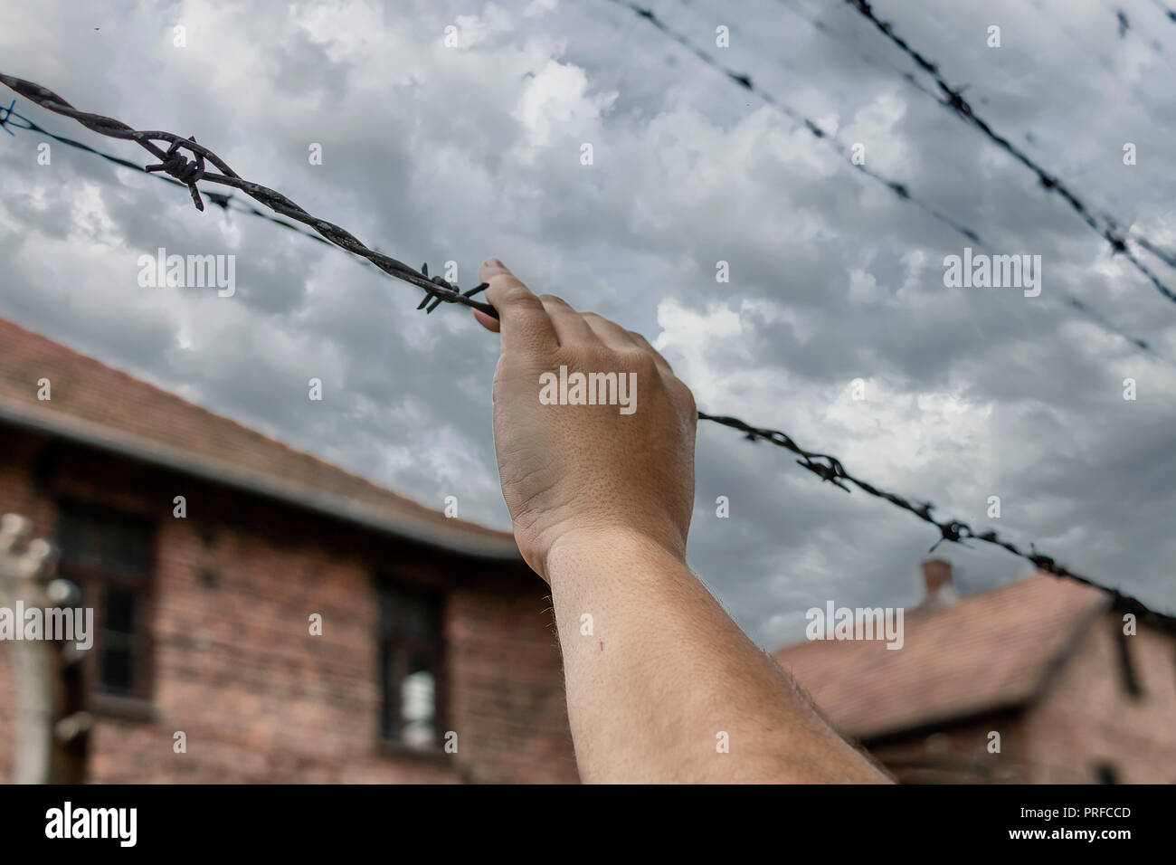A woman's hand grasping barbed wire Stock Photo - Alamy