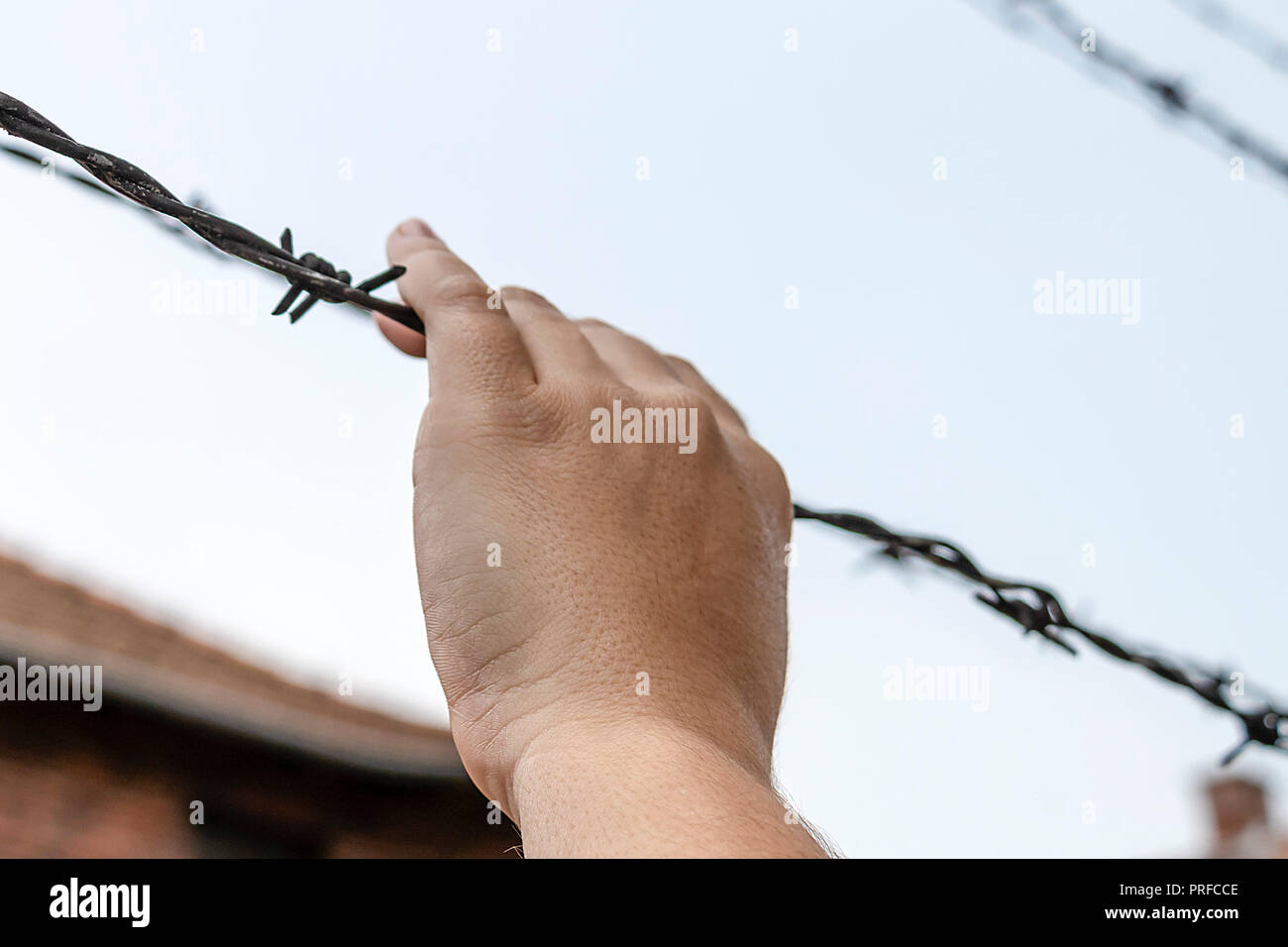 Barbed wire fist hi-res stock photography and images - Alamy