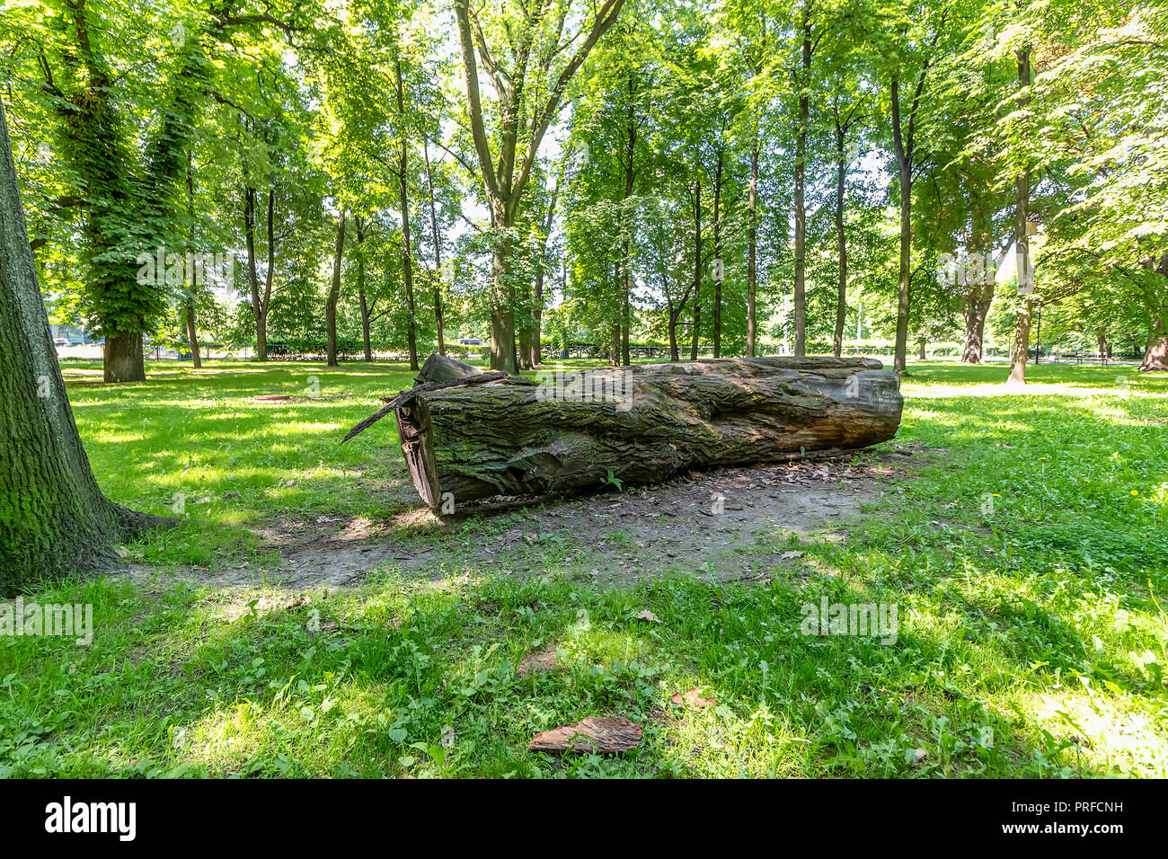 Saxon garden ogrod saski warsaw hi-res stock photography and images - Alamy