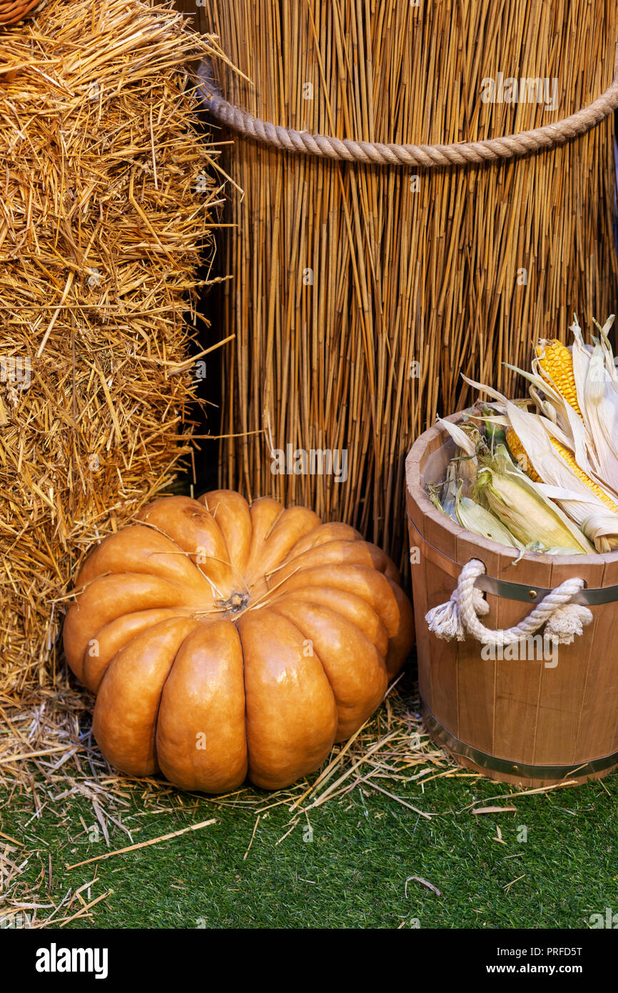 Autumnal composition of pumpkins with hay at wood background Stock ...