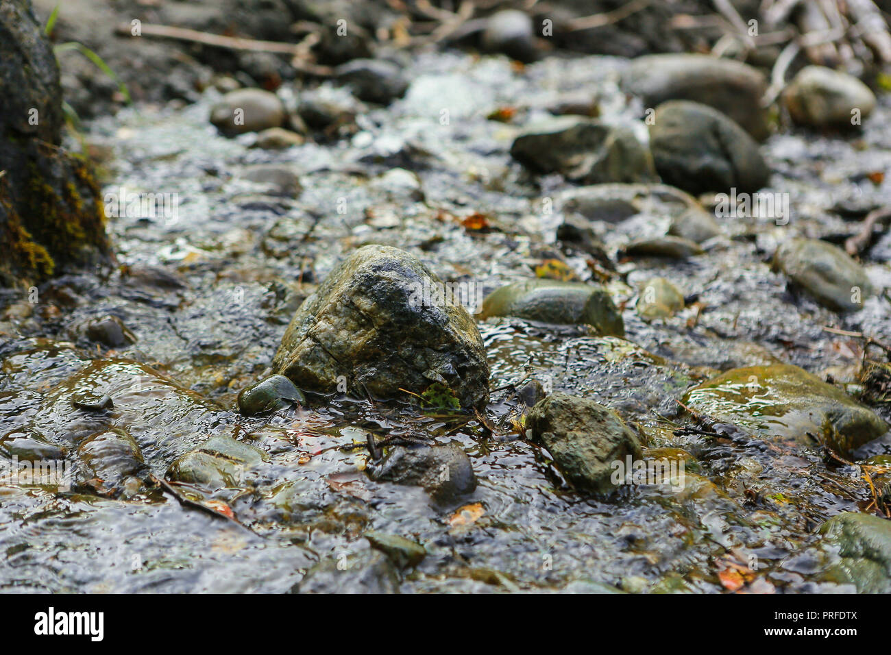 River rock rocks texture stream water background clear beautiful hi-res ...