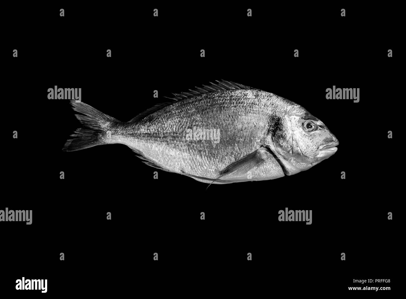 Bream Black and White Stock Photos & Images - Alamy