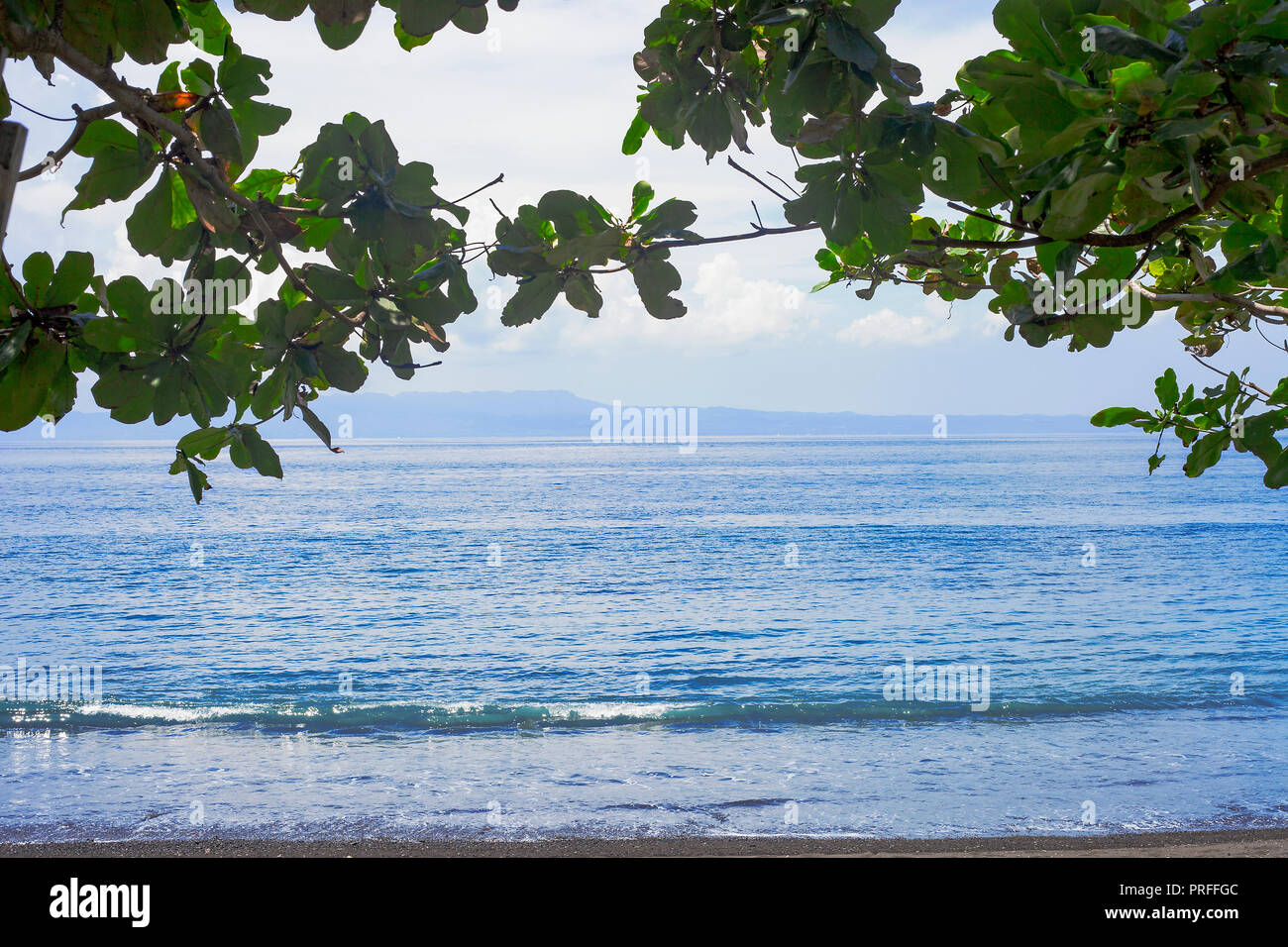 Summer landscape with blue ocean and branches of green tree, tropical ...