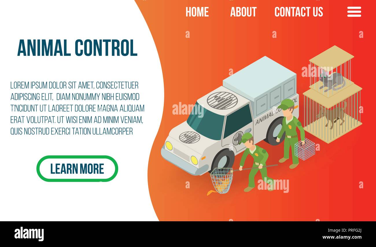 Animal control concept banner, isometric style Stock Vector Image & Art ...