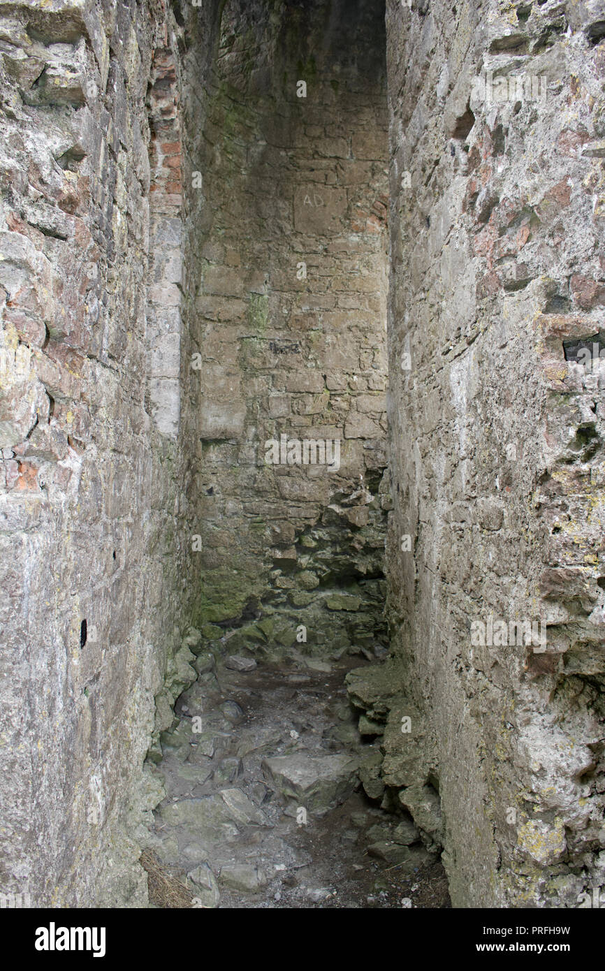 Remains of an old stair case in a medieval castle ruin in County Laois ...