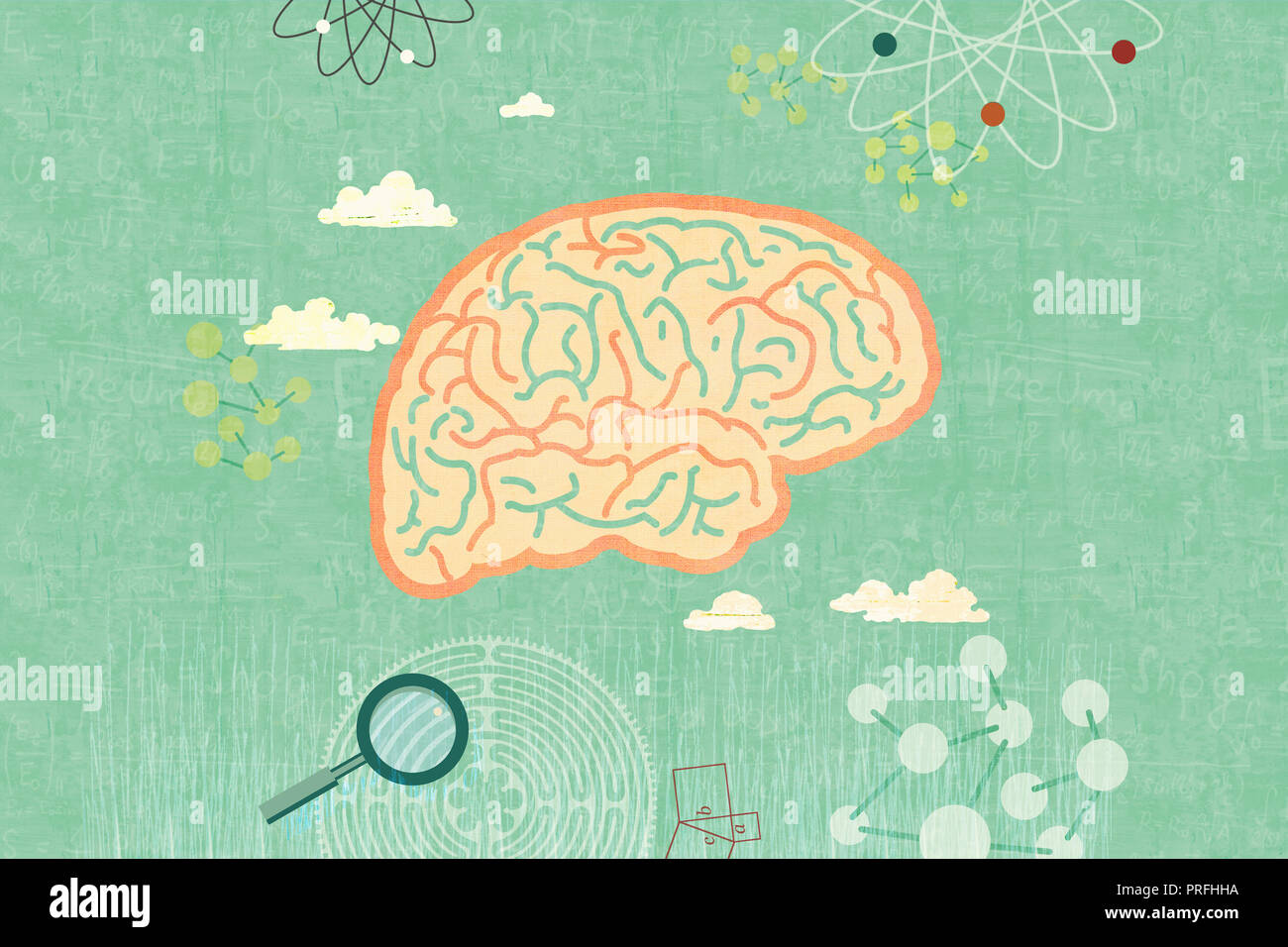 Analytical brain hi-res stock photography and images - Alamy