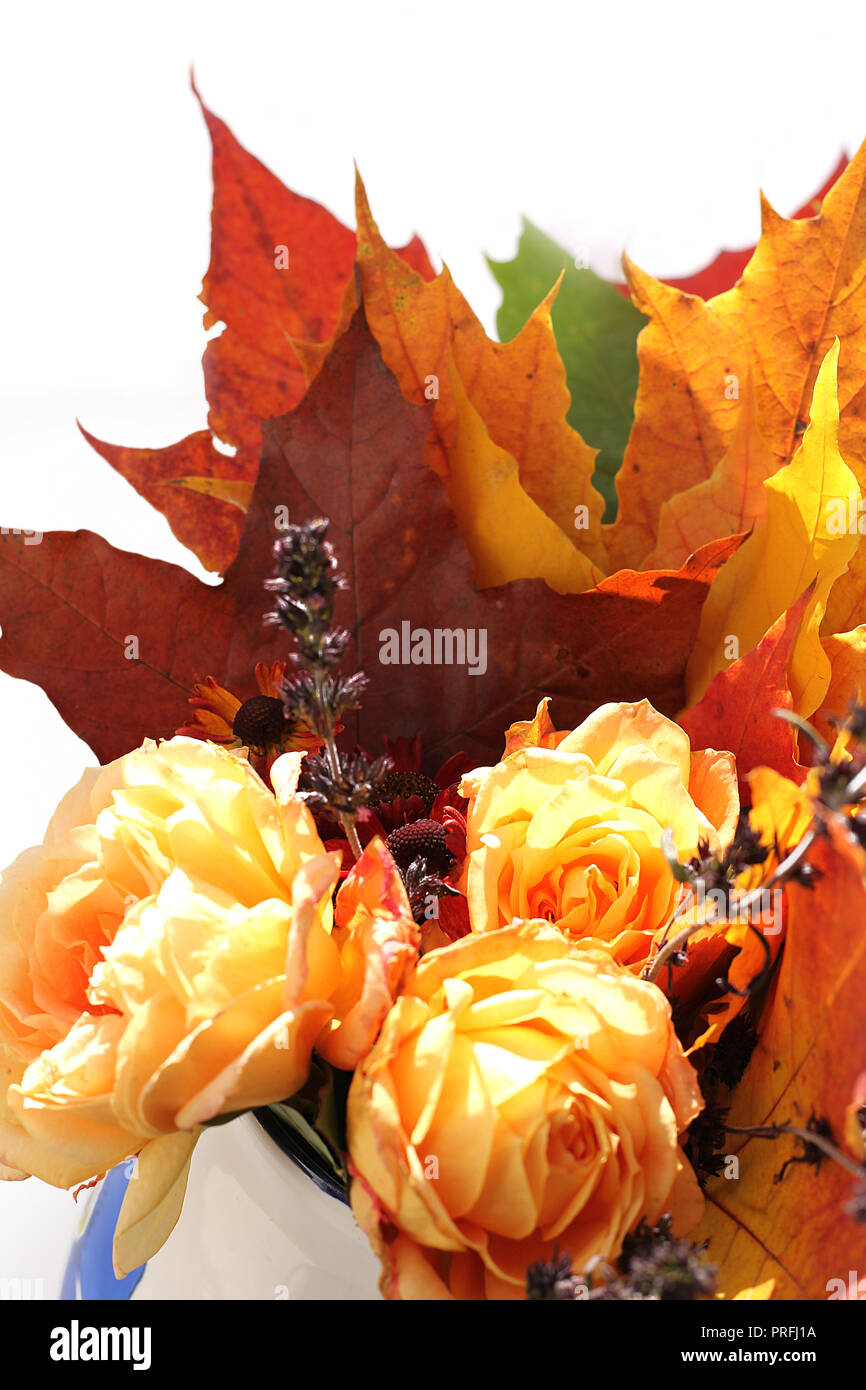 Autumn flower composition with roses and maple leaves Stock Photo - Alamy