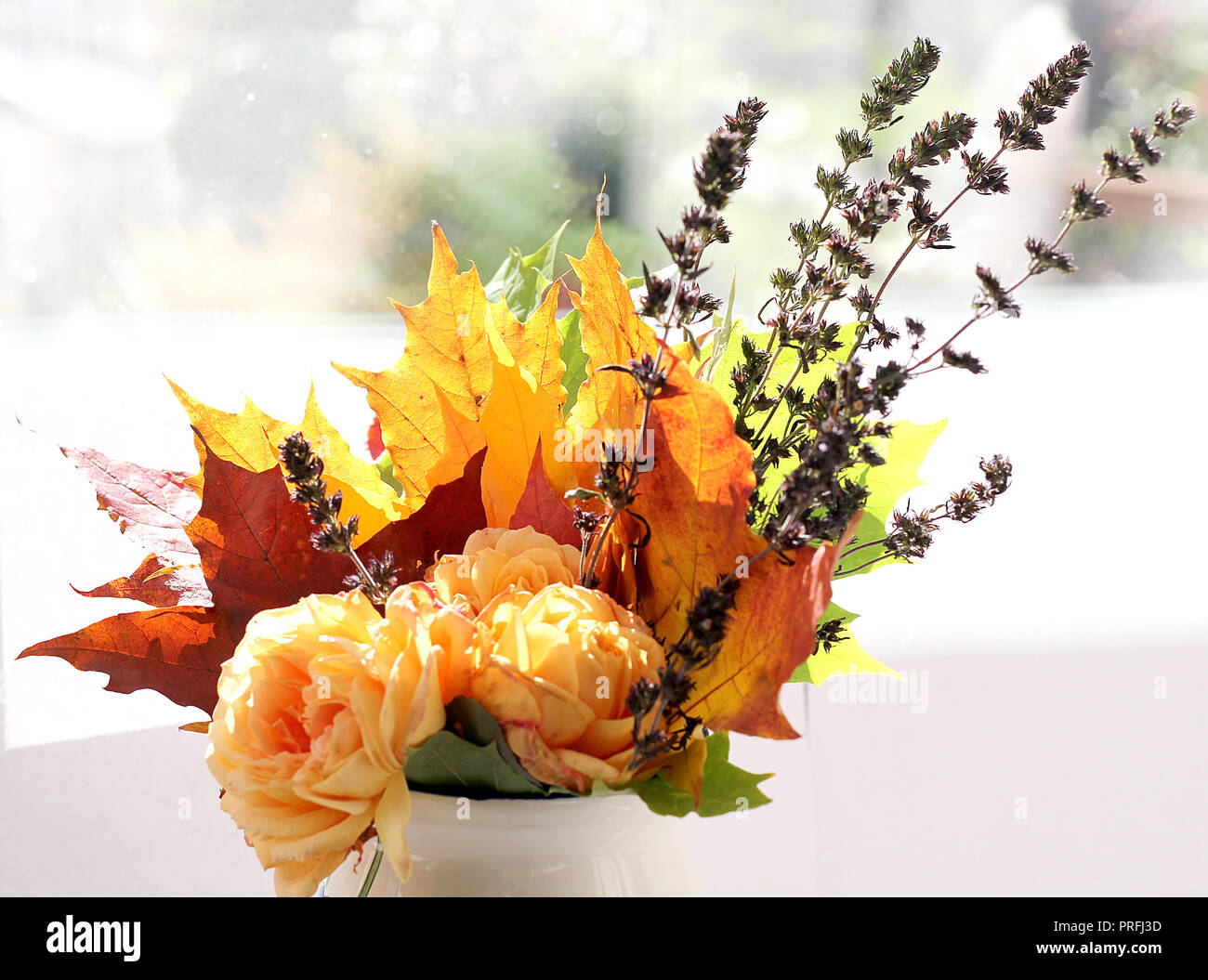 Beautiful orange chrysanthemum flower autumn hi-res stock photography ...