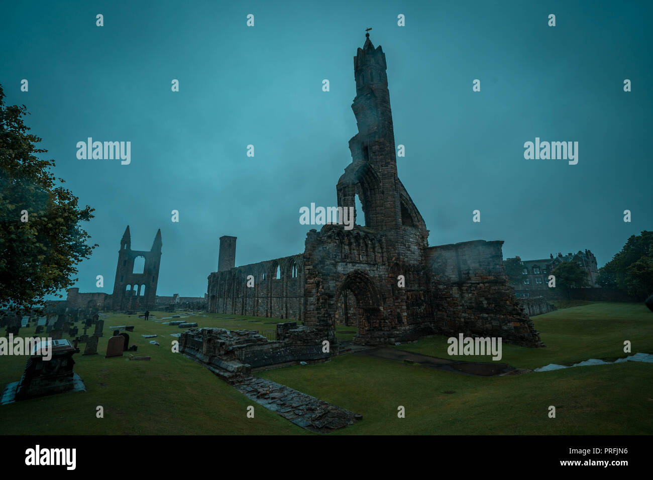 Scottish Abbey Ruins Stock Photo - Alamy