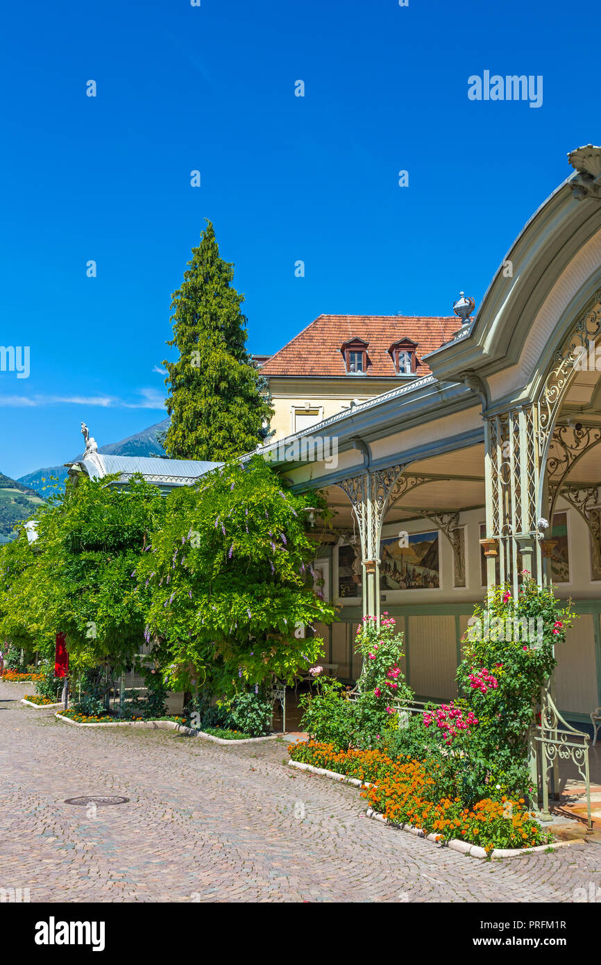 Green tree promenade in italy hi-res stock photography and images - Alamy