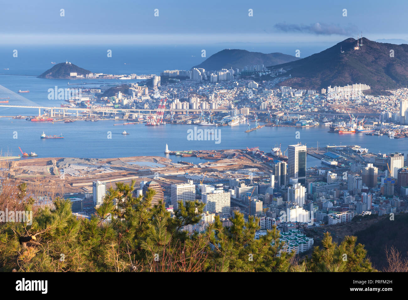 Busan city, South Korea. Aerial view with coastal buildings and ships ...