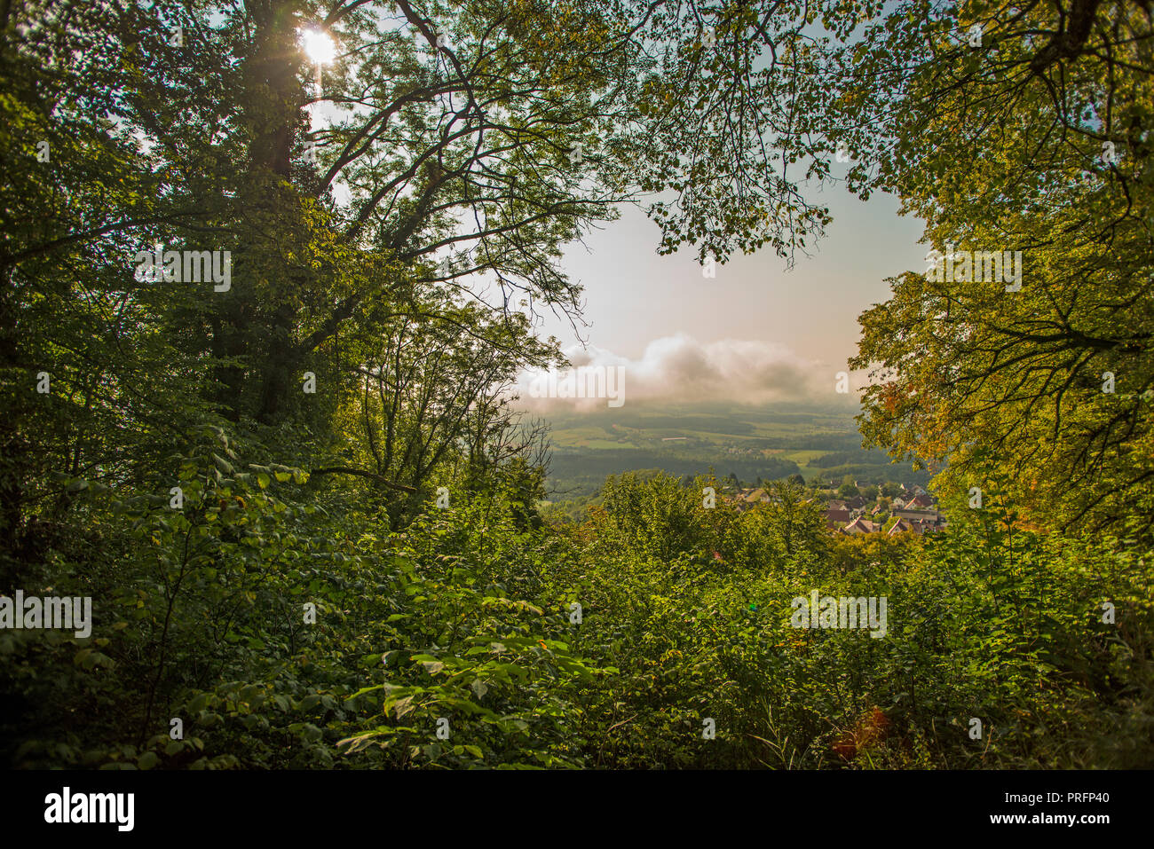 Looking through a foliage roof on a landscape with dark clouds Stock ...