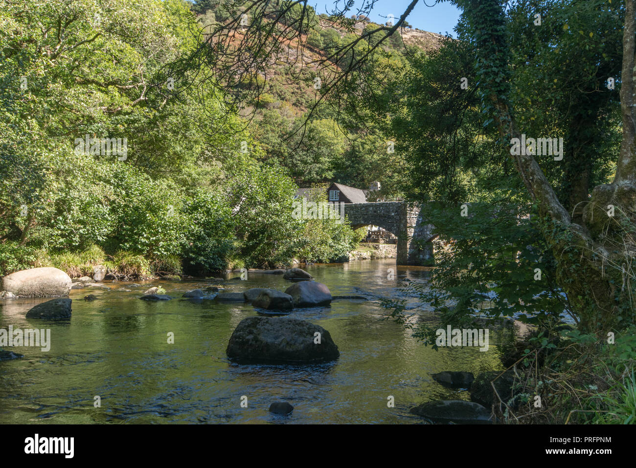 Fingle Bridge on Dartmoor viewed from river through trees Stock Photo ...