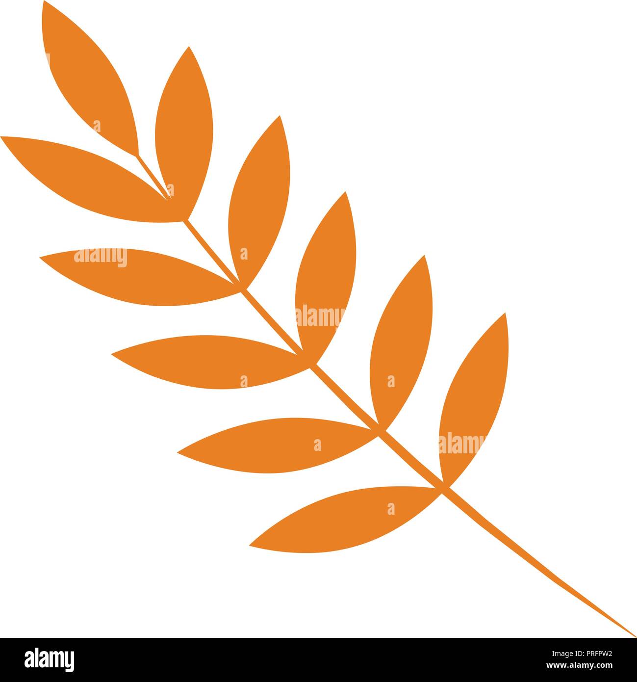 Rowan autumn leaf icon, flat style Stock Vector Image & Art - Alamy