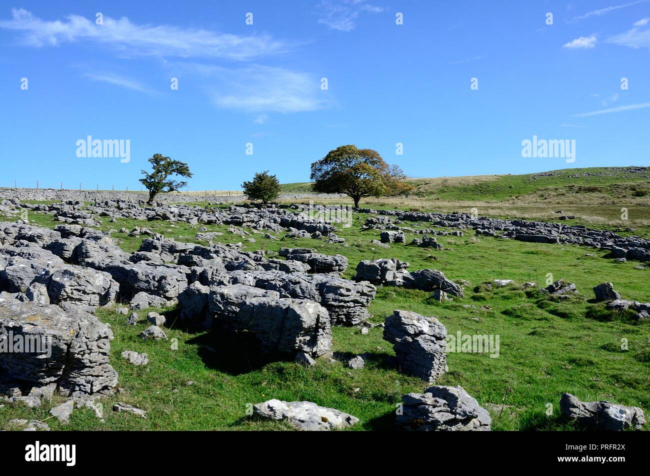 Limestone landscape boulders Ystradfellte Brecon Beacons National Park ...